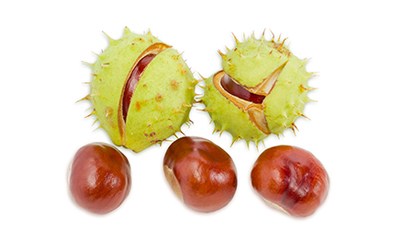 Anti-cellulite - Sabinsa Cosmetics